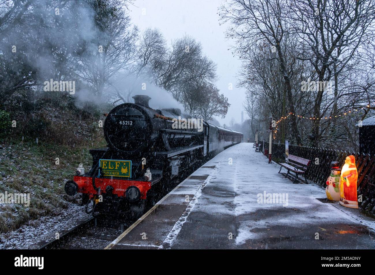 Express your elf hi-res stock photography and images - Alamy