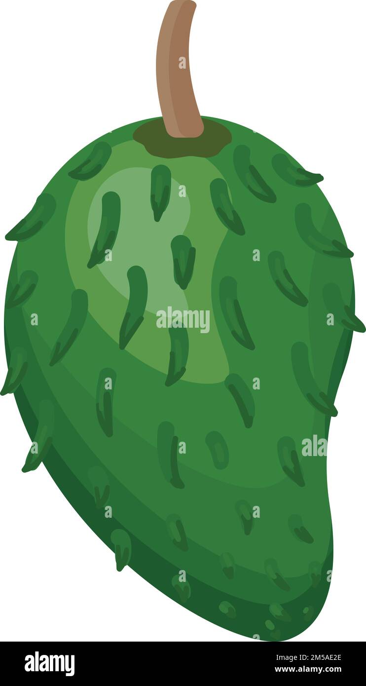 Green sour sop fruit Cut Out Stock Images & Pictures - Alamy
