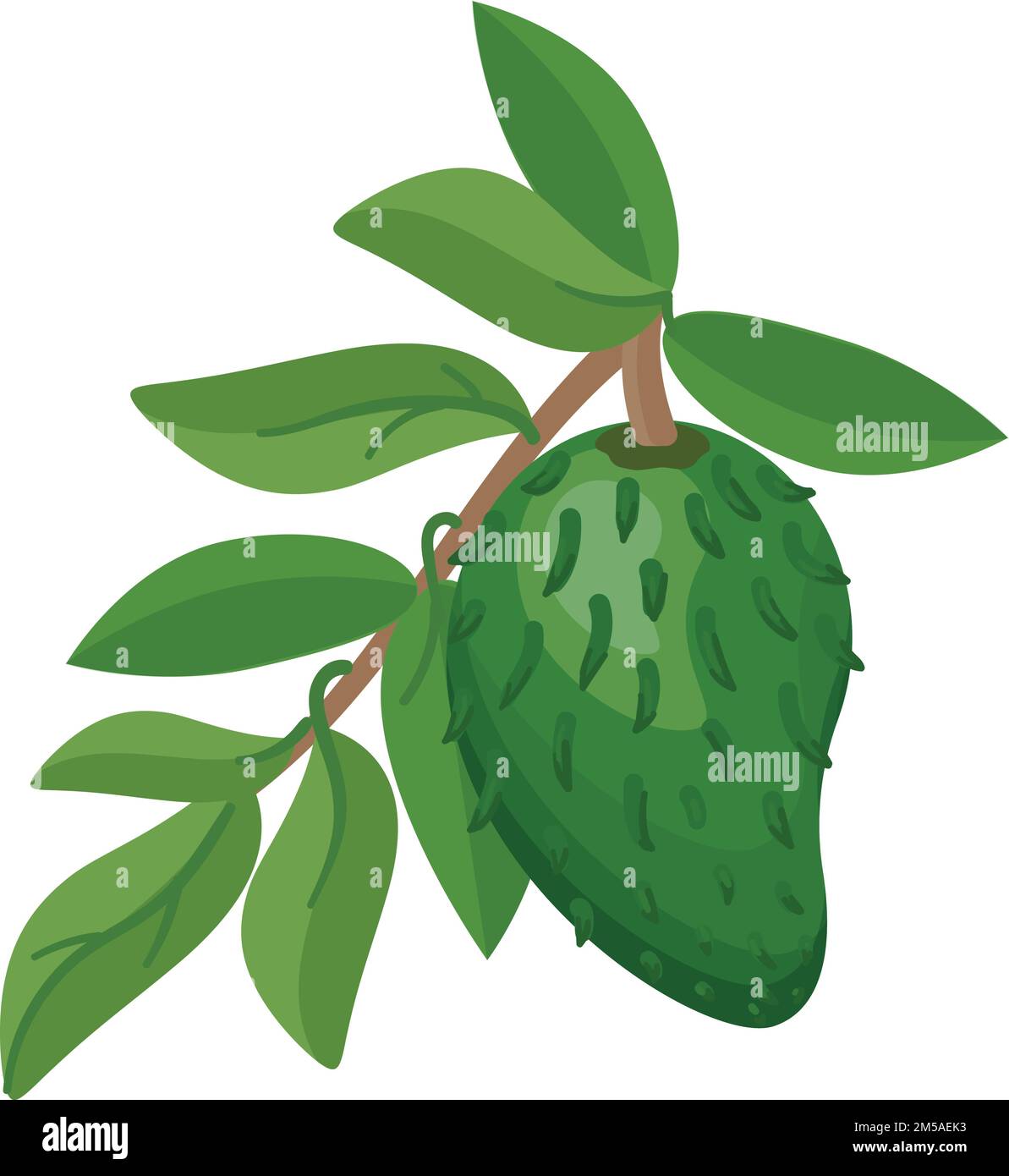 Soursop tree icon cartoon vector. Muricata juice Stock Vector Image ...