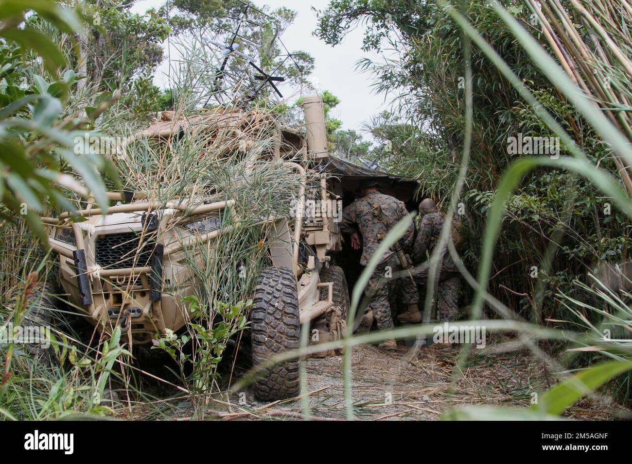U.S. Marines with 2d Battalion, 7th Marines, command and control the ...