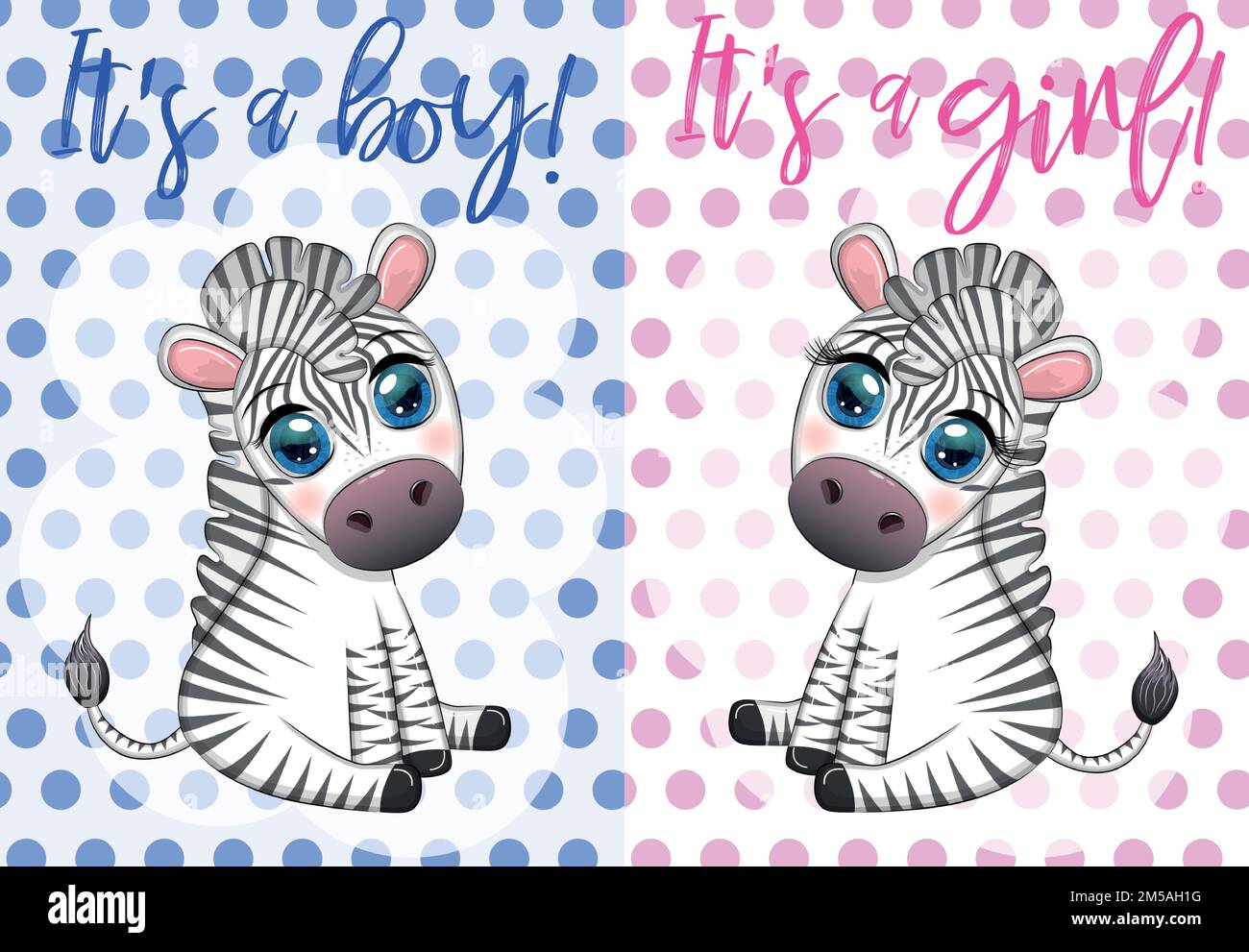 Zebra Boy Baby Shower