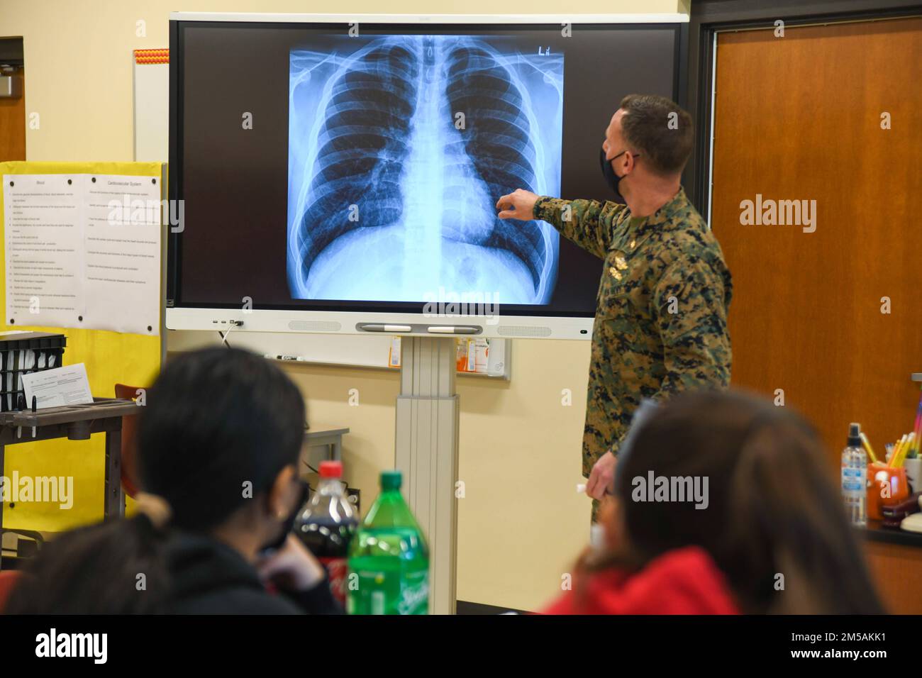 U.S. Navy Lieutenant Commander Michael Feroli, Navy Physician Assistant ...