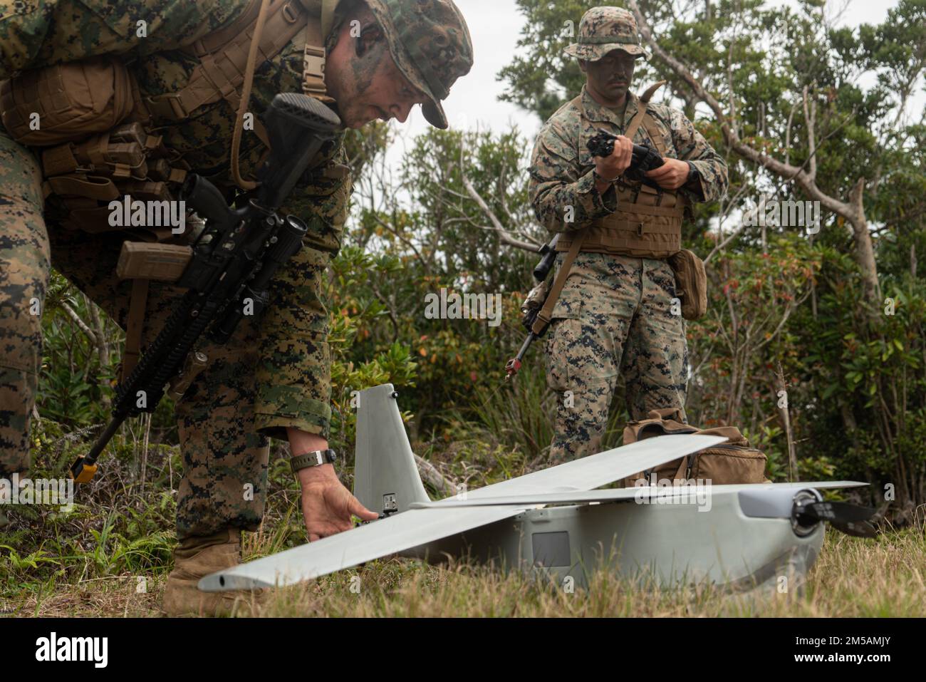 U.S. Marines with 1st Battalion, 3d Marines, 3d Marine Division ...