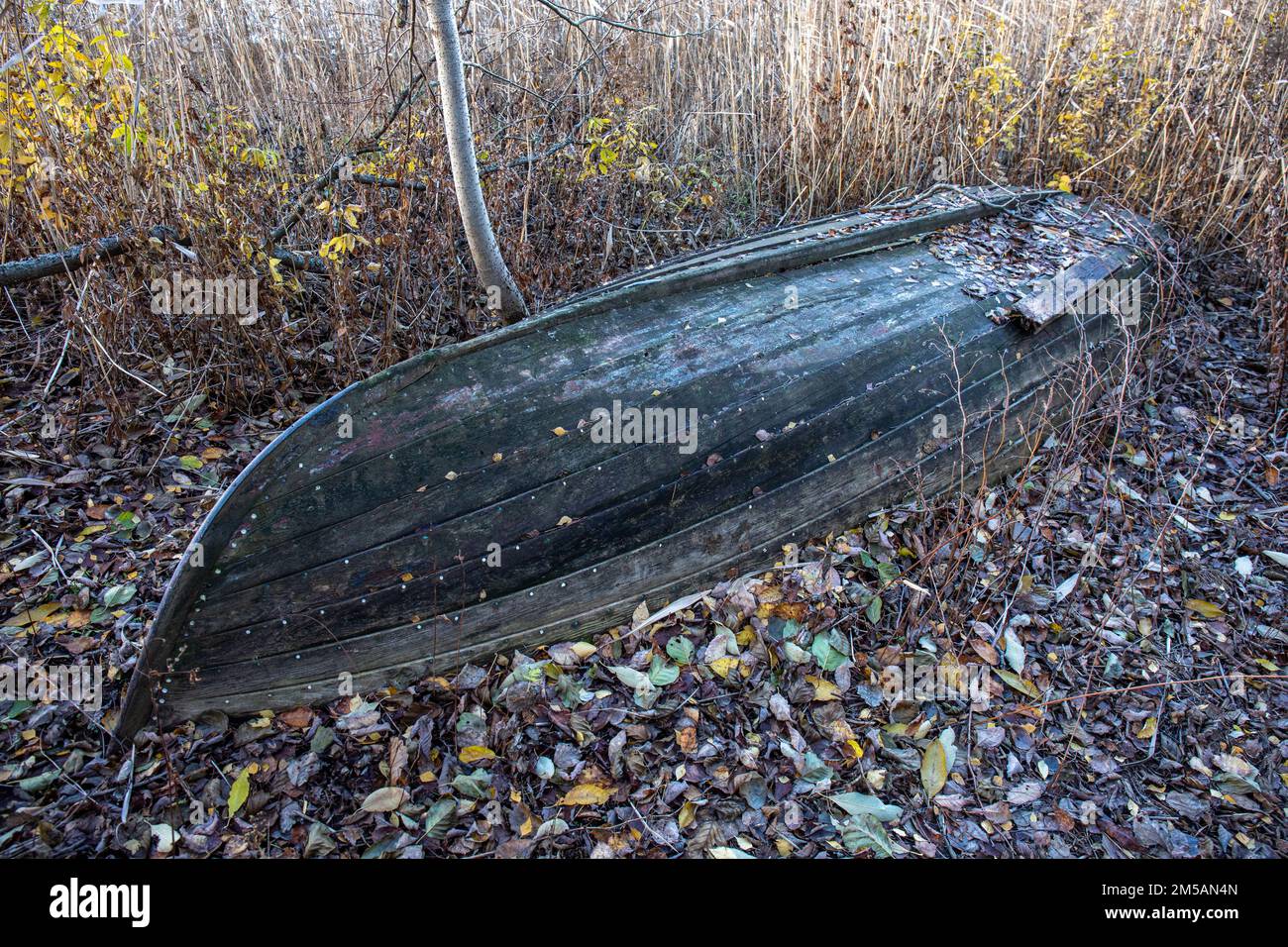 Abandoned old wooden rowboat rotting in Lehtisaari district of Helsinki ...