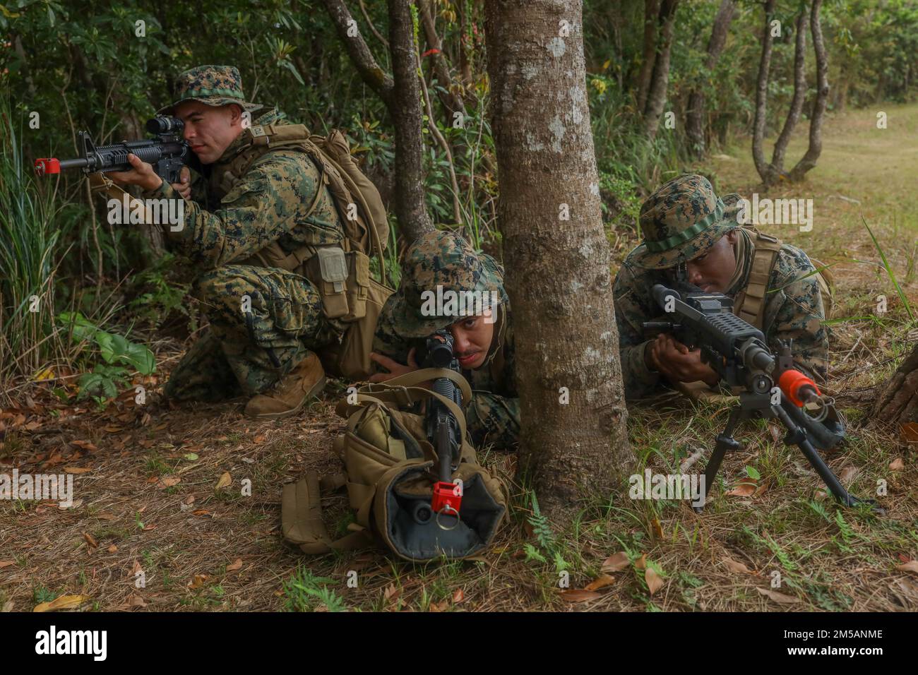 U.S. Marines with Combat Logistics Company Alpha, Combat Logistics ...