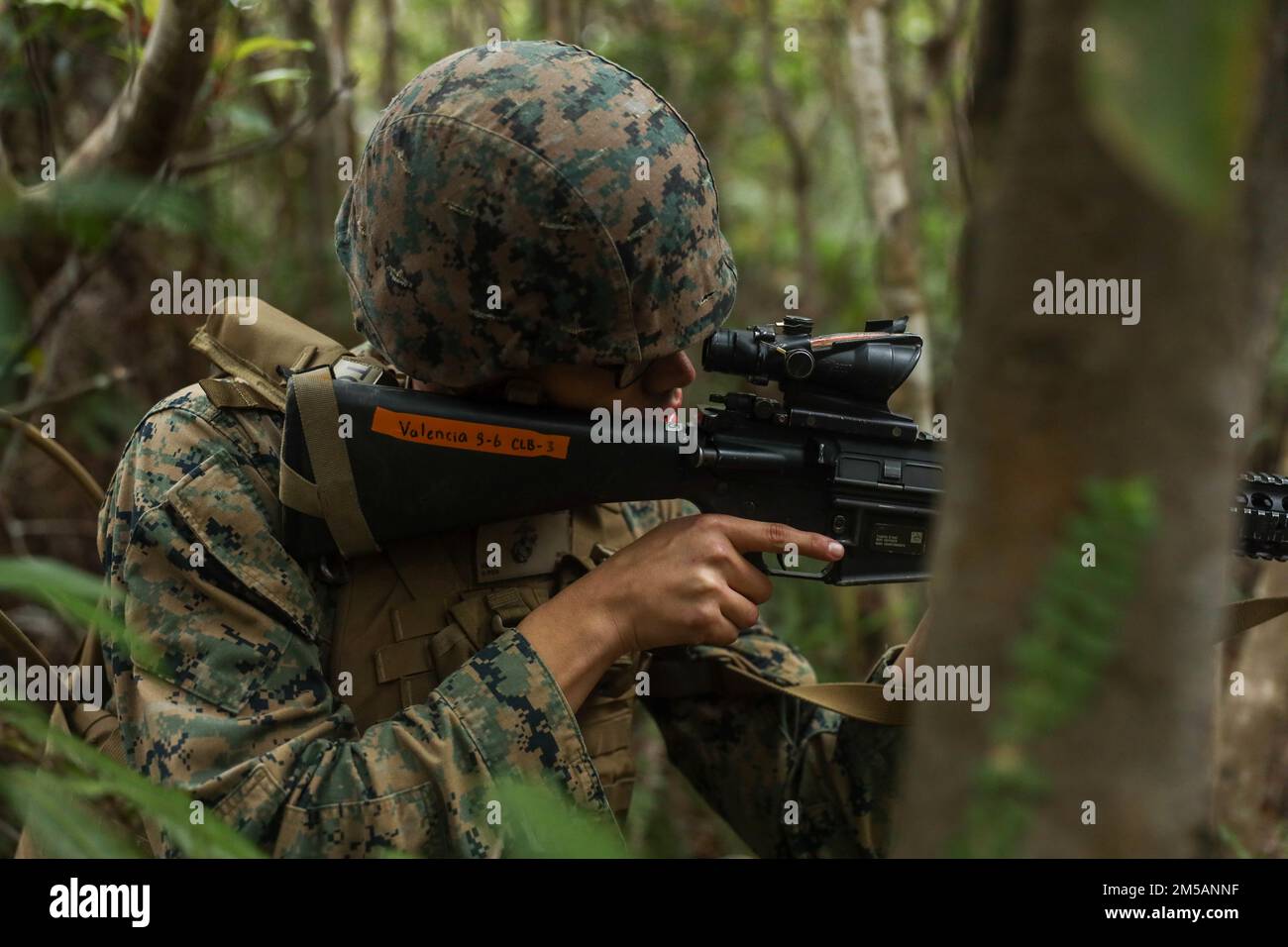 U.S. Marine Corps Lance Cpl. Raymond Valencia, a data systems ...