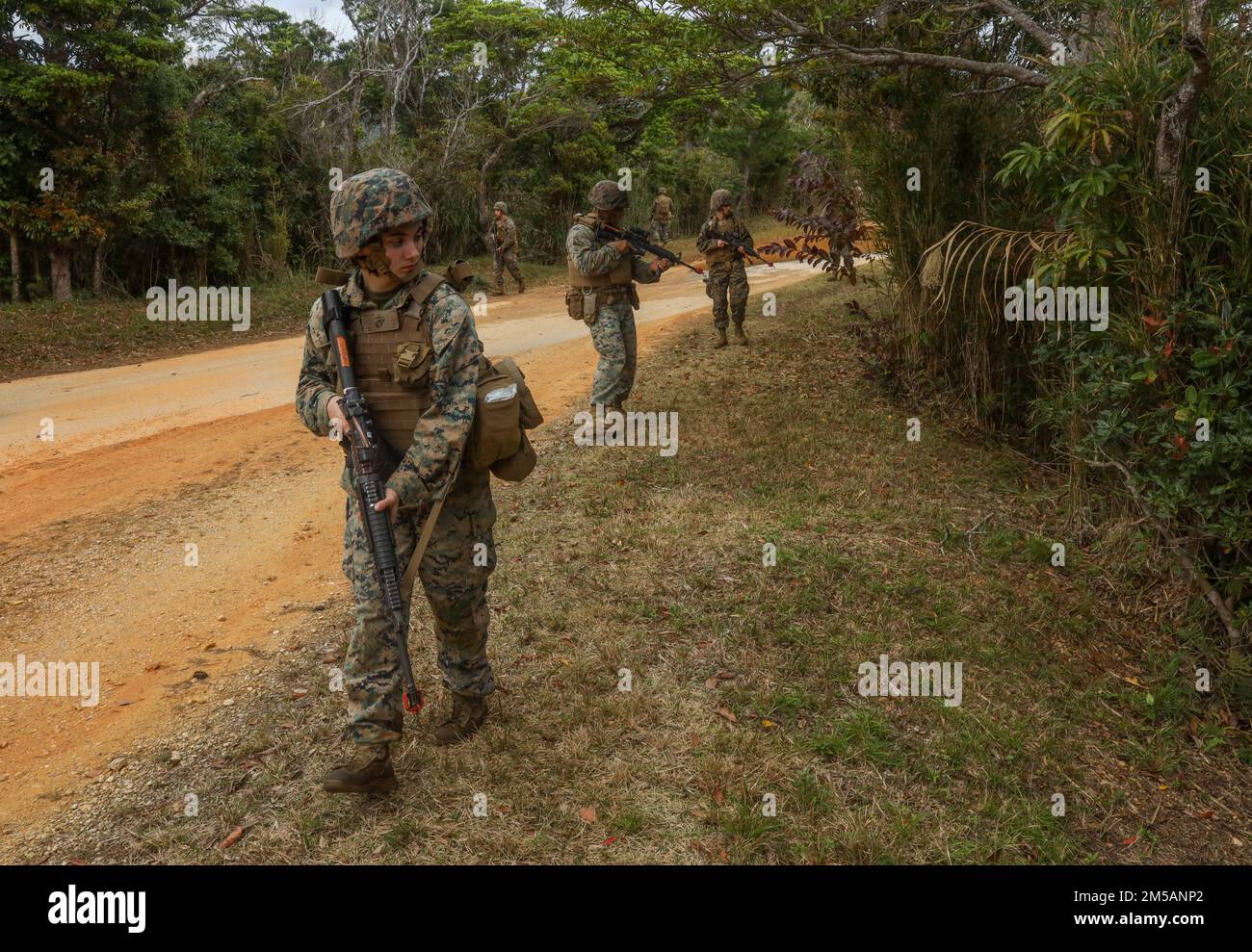 U.S. Marines with Combat Logistics Company Alpha, Combat Logistics ...