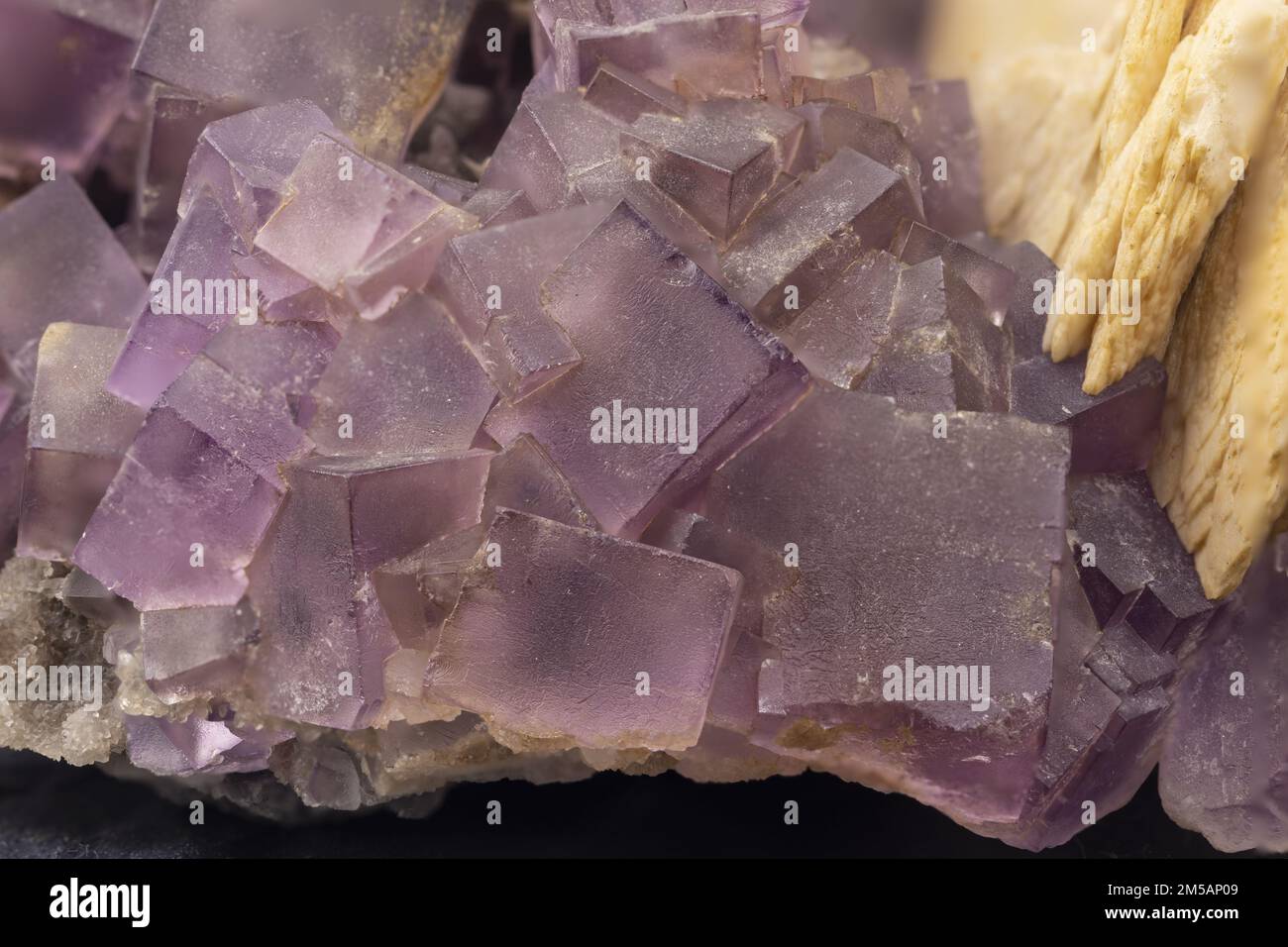 Violet fluorite, macro detail, texture background. semi-precious ...