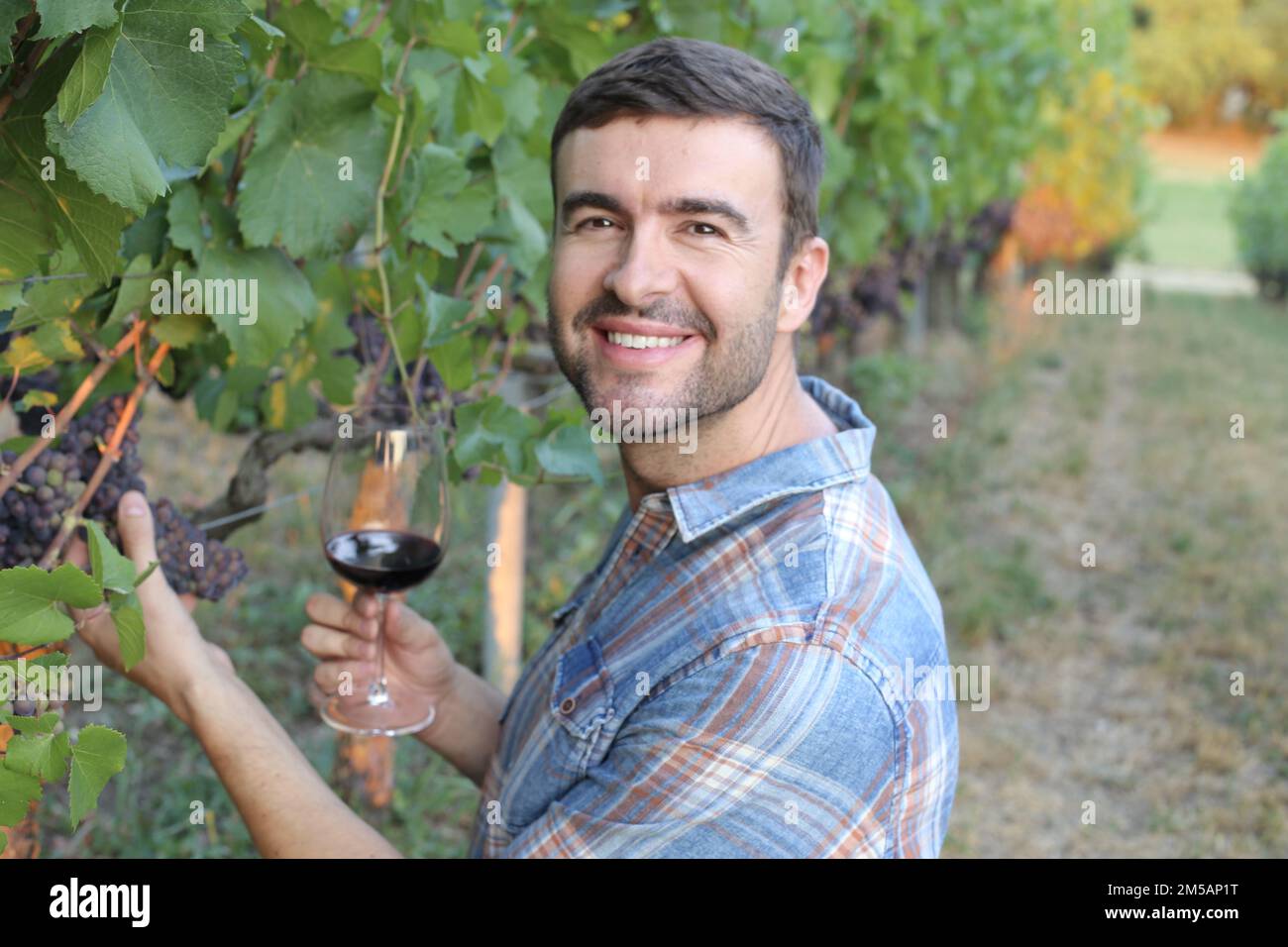 Sommelier enjoying red wine in vineyard Stock Photo - Alamy