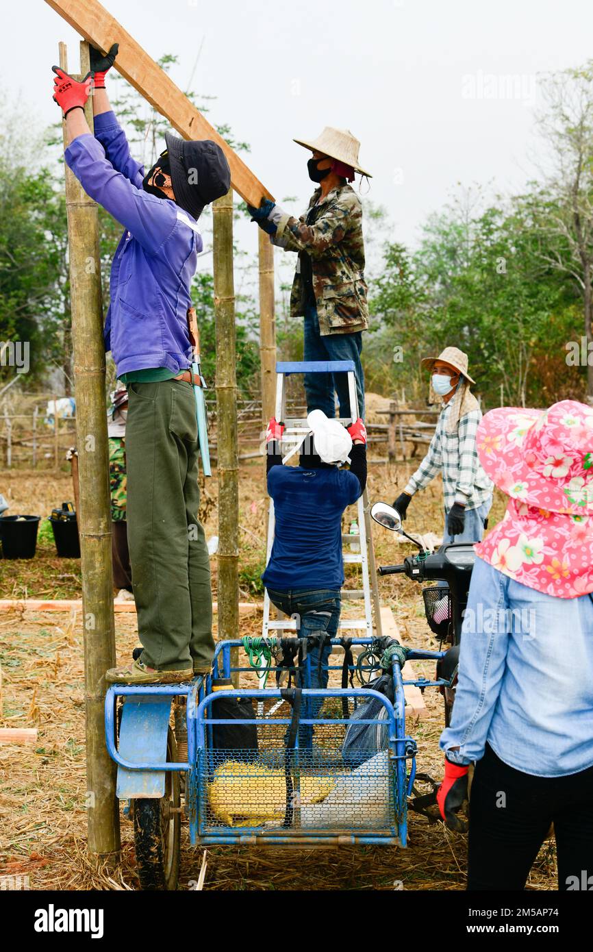 Local Thai workers construct a break-area during a Defense POW/MIA ...
