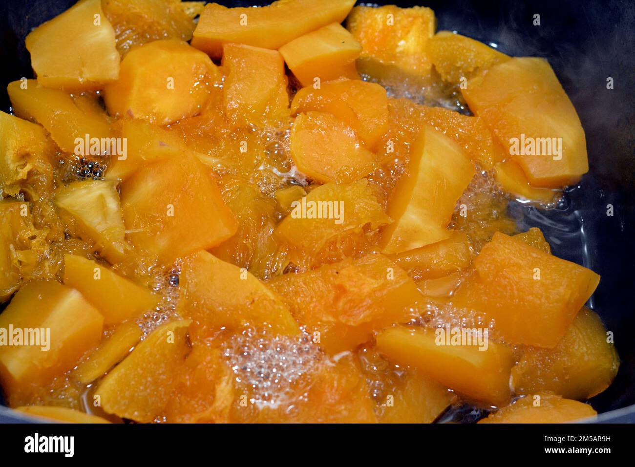 squash, pumpkin, or gourd, Cucurbita is a genus of herbaceous fruits in ...