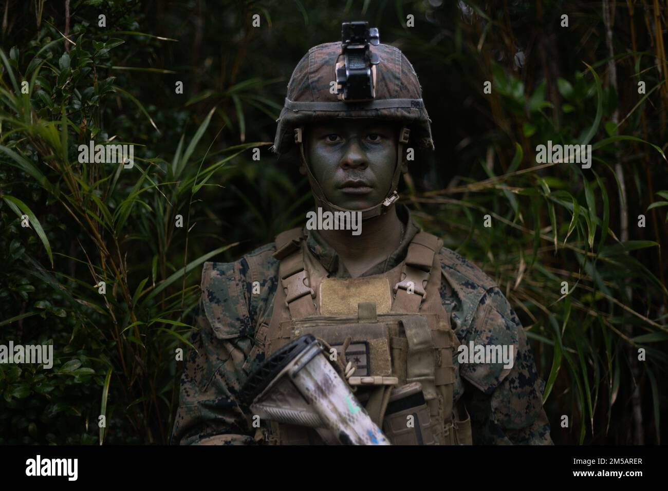 A U.S. Marine with 2d Battalion, 7th Marines, conducts a patrol during ...