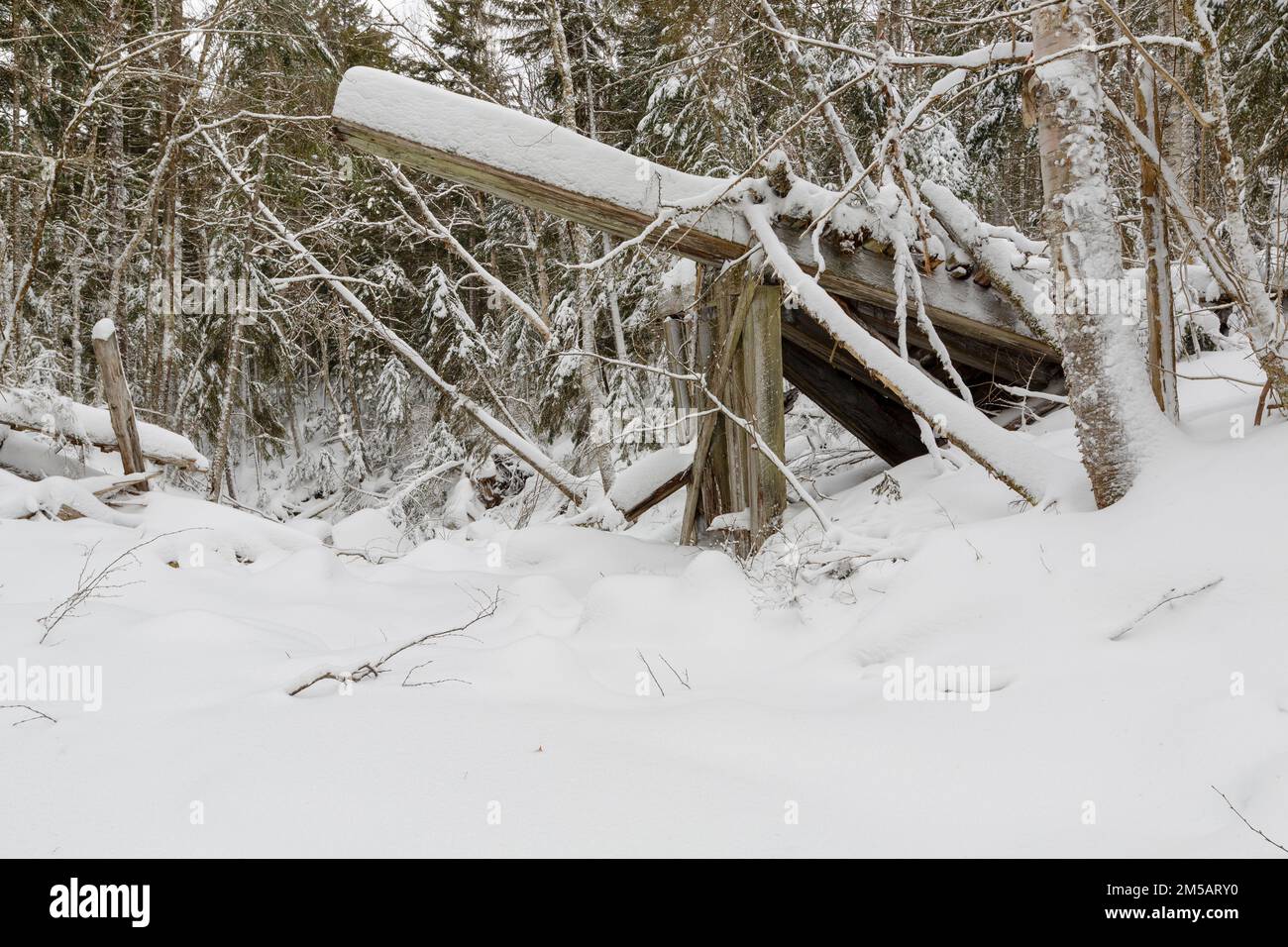 A collapsed timber bridge at the Sokokis Brook crossing along the ...