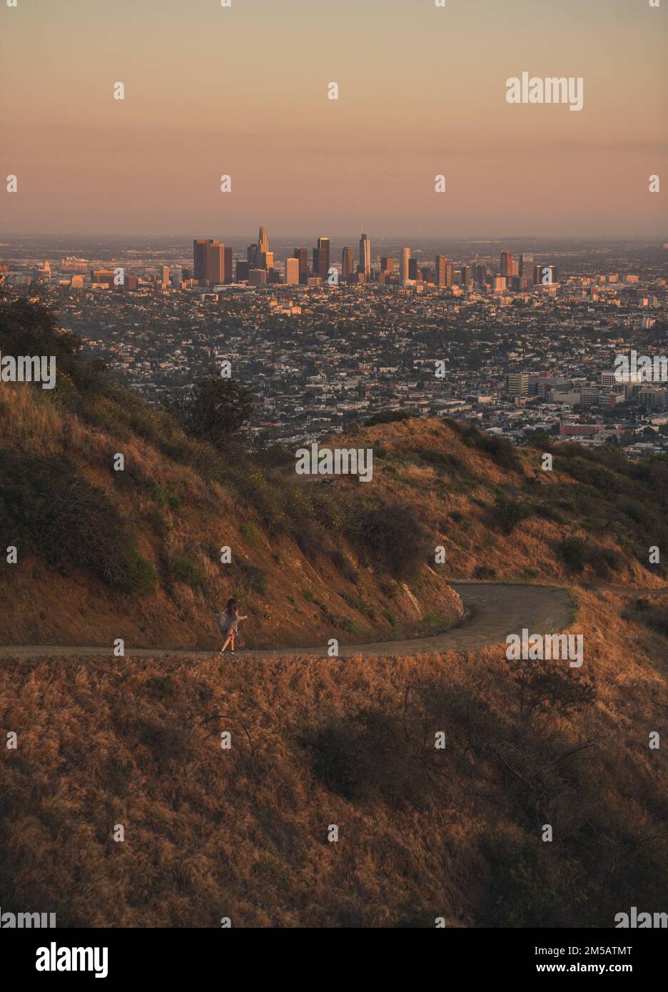 Los angeles palm tree skyline hi-res stock photography and images - Alamy