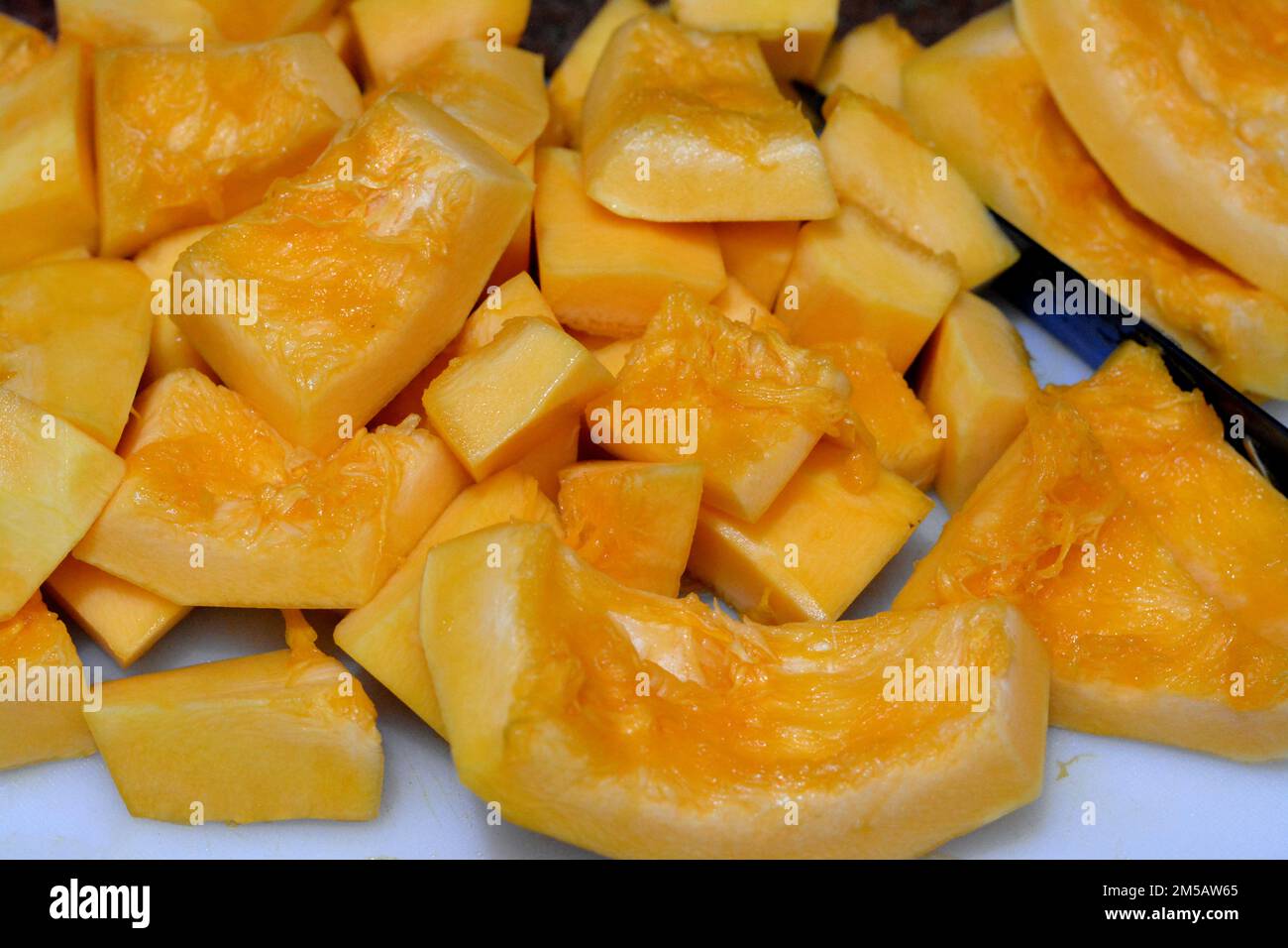 squash, pumpkin, or gourd, Cucurbita is a genus of herbaceous fruits in ...