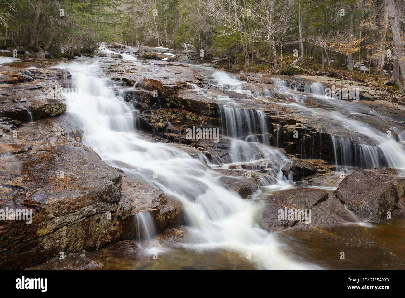 Cascade Brook in Lincoln, New Hampshire on a spring day. This brook is ...