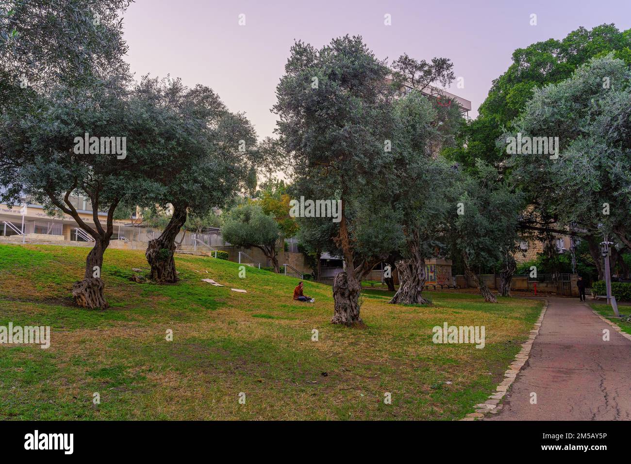 Haifa, Israel - December 22, 2022: Sunset view of the Binyamin Garden ...
