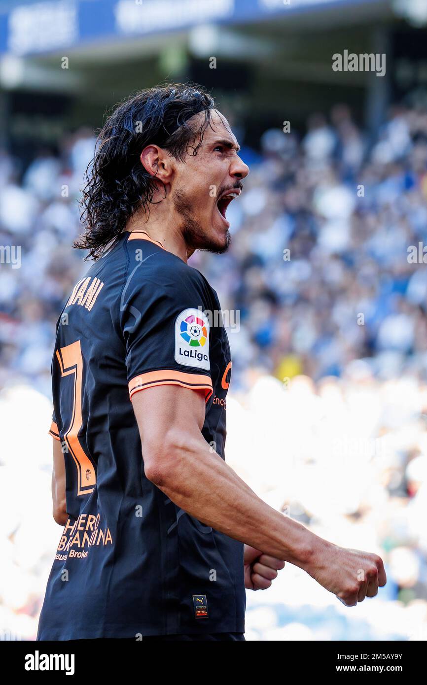 Cavani uruguay goal hi-res stock photography and images - Alamy