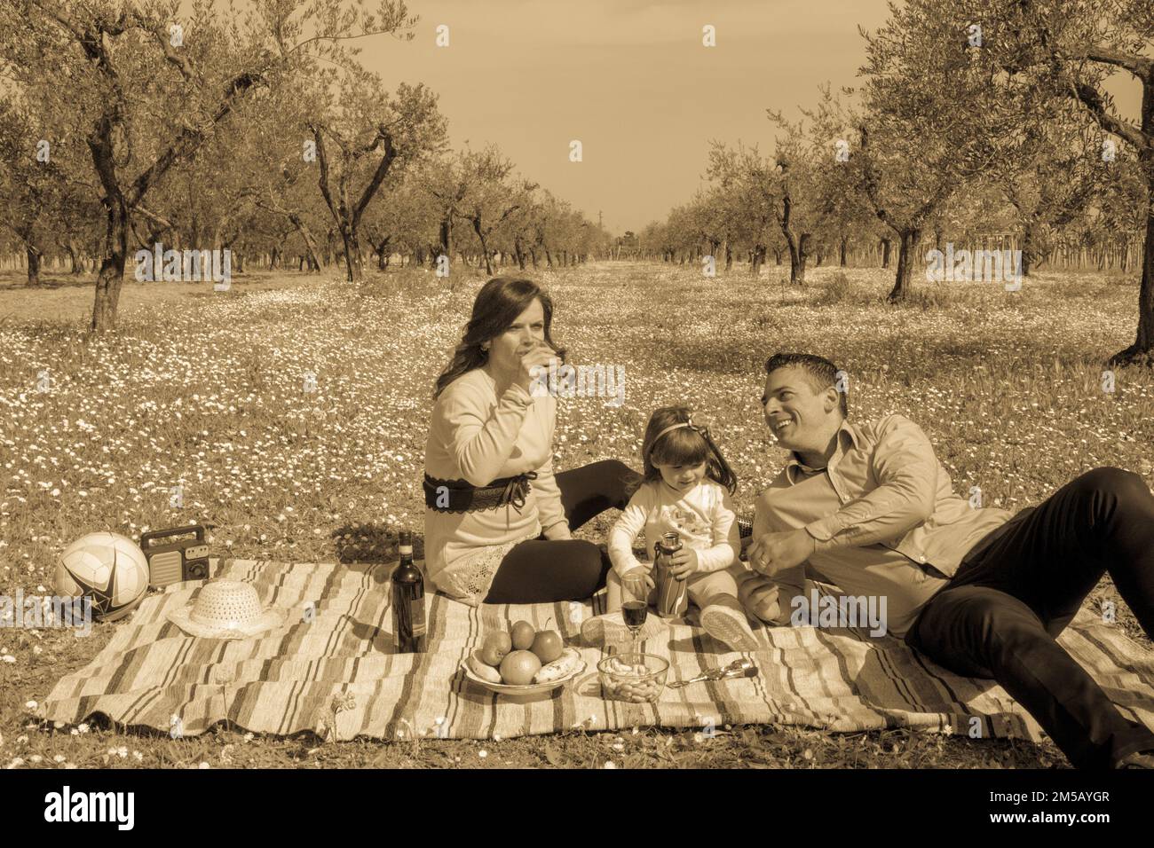 Image of a smiling family sitting in a flowery field having a picnic ...