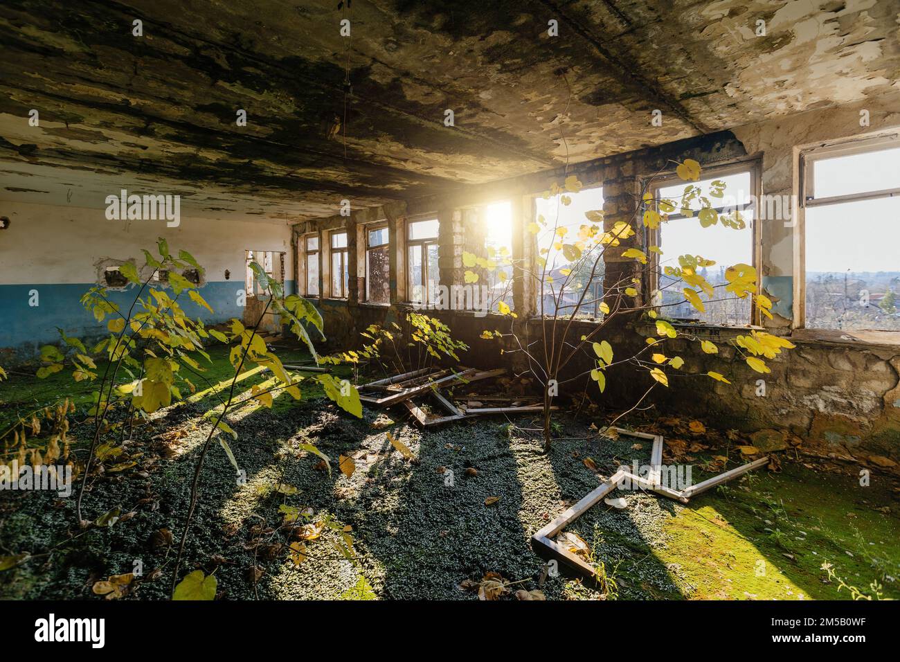 Overgrown by plants old abandoned building interior Stock Photo - Alamy