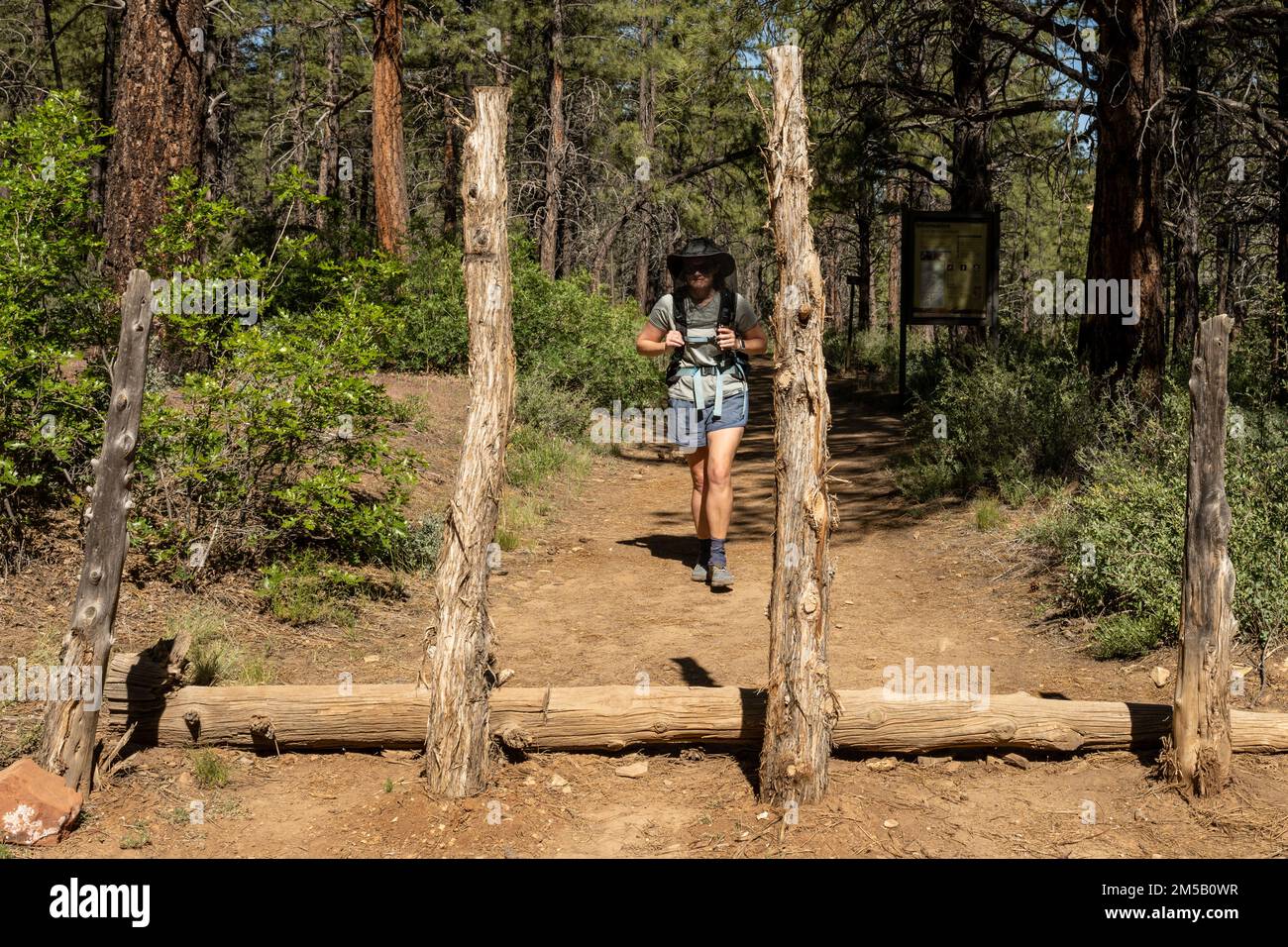 Hiker Returning To The Trail Head In Zion Stock Photo - Alamy