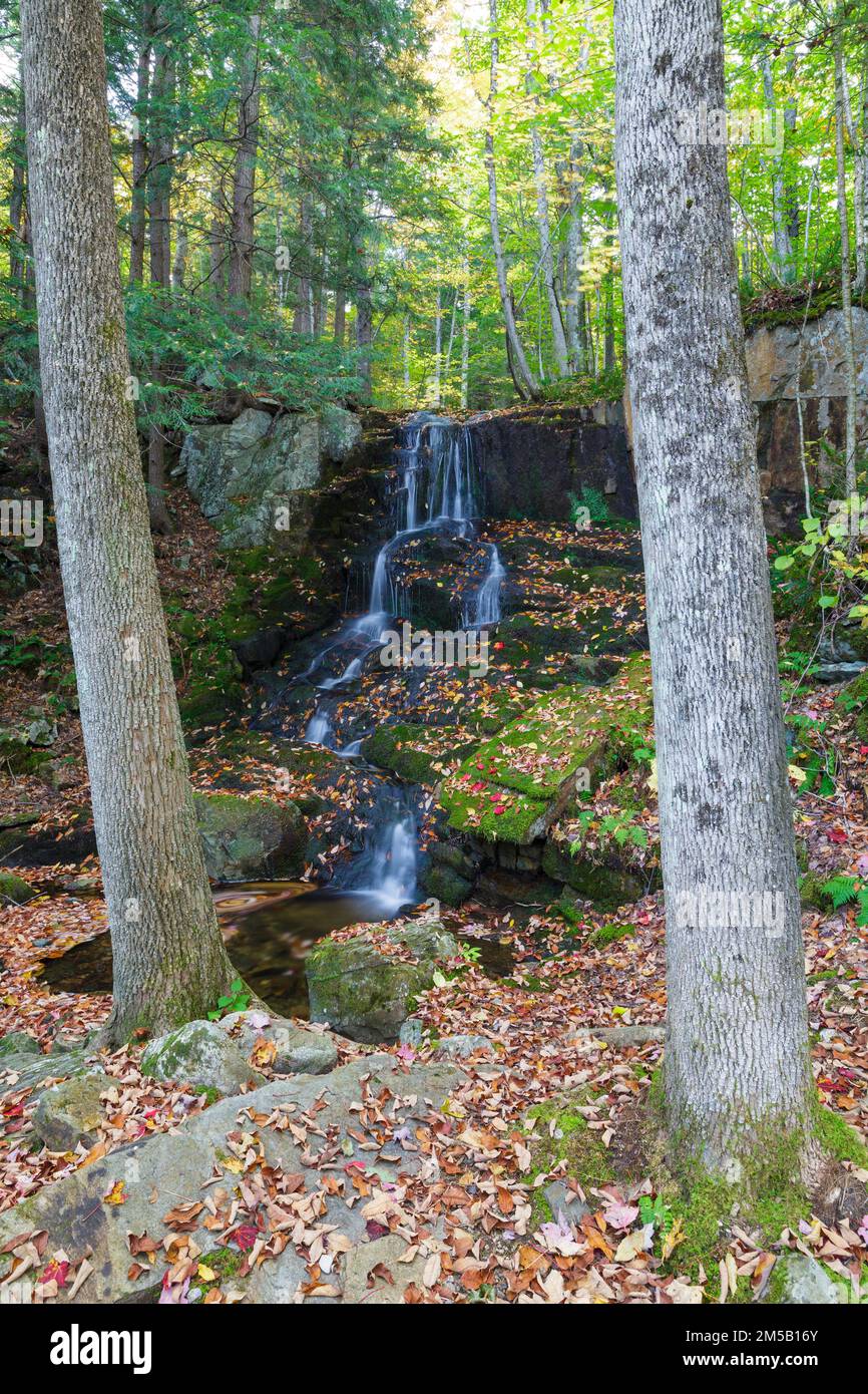 Rollo Fall on the Moose River in Randolph, New Hampshire covered in ...