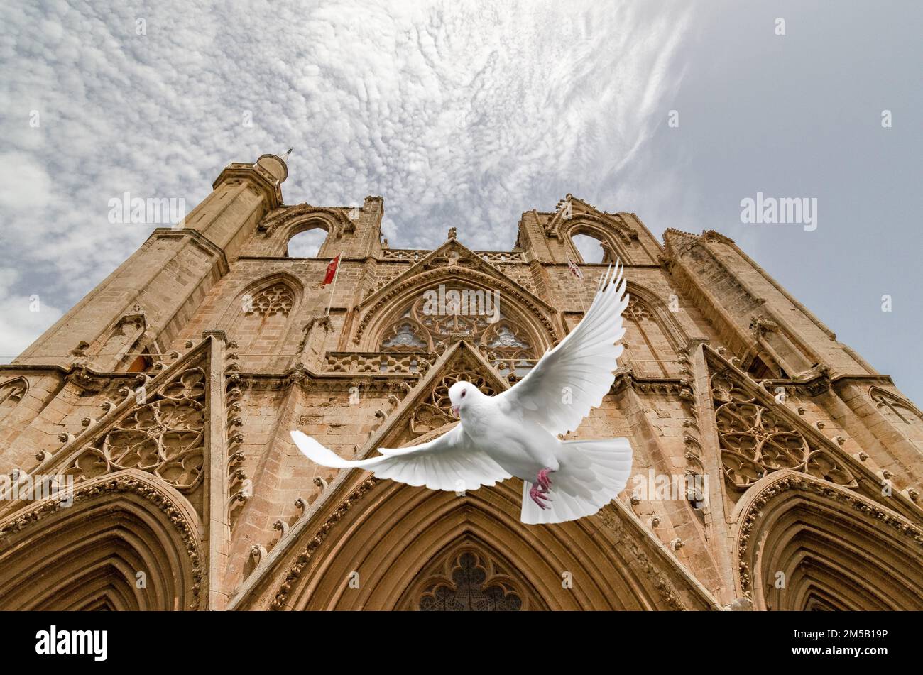 The pigeon flying in front of the Gazimausa Lala Mustafa Pasa Cami ...