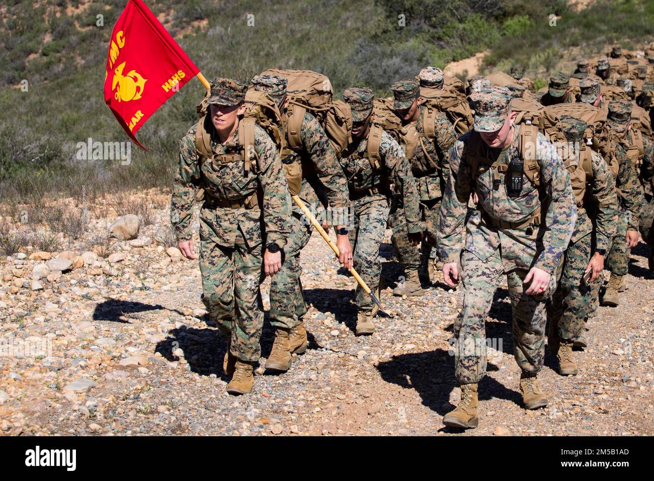 U.S. Marine Corps Lt. Col. Christine M. Houser, the commanding officer ...