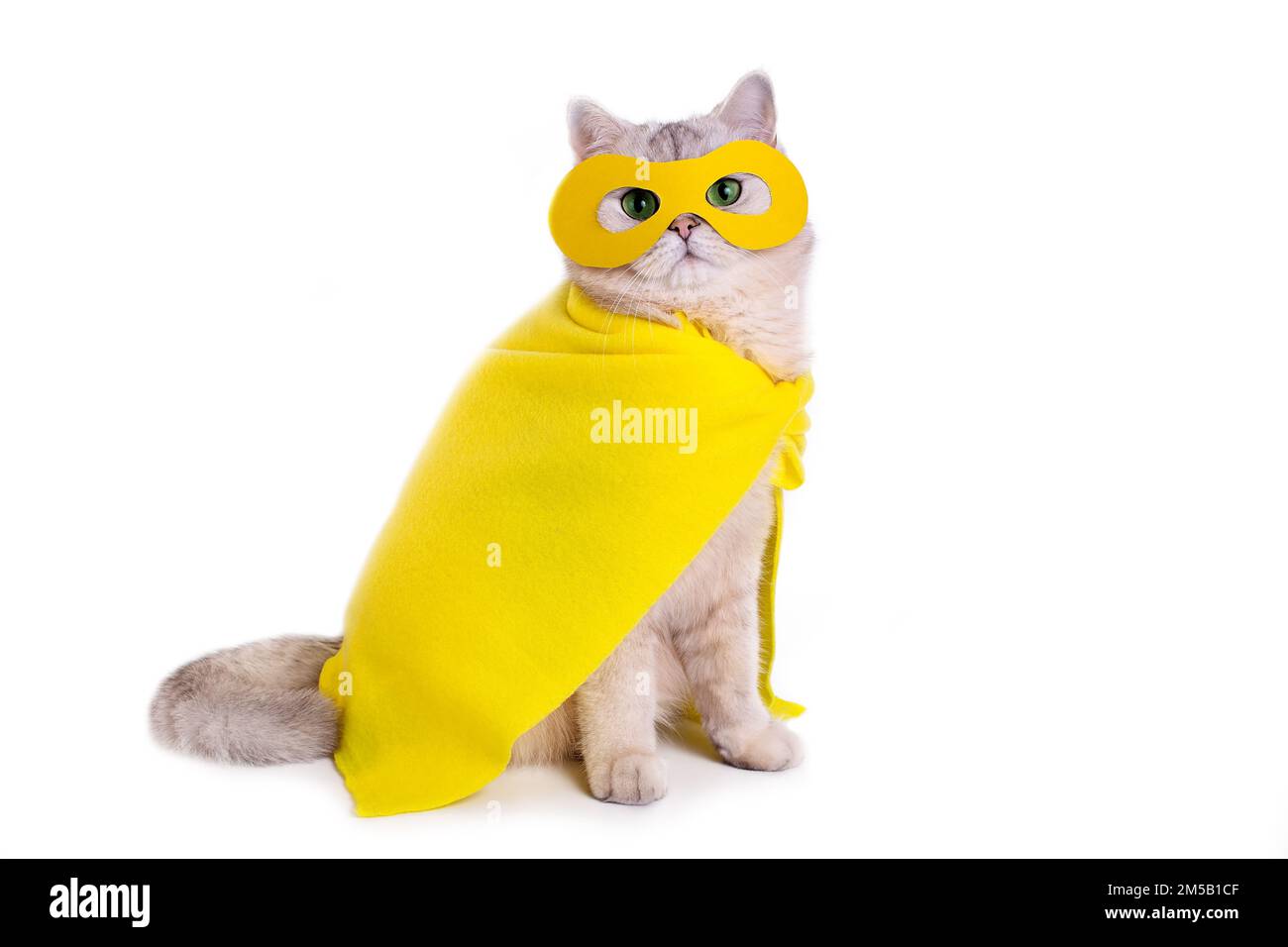 Funny white cat in a yellow mask and cape, sitting on a white ...