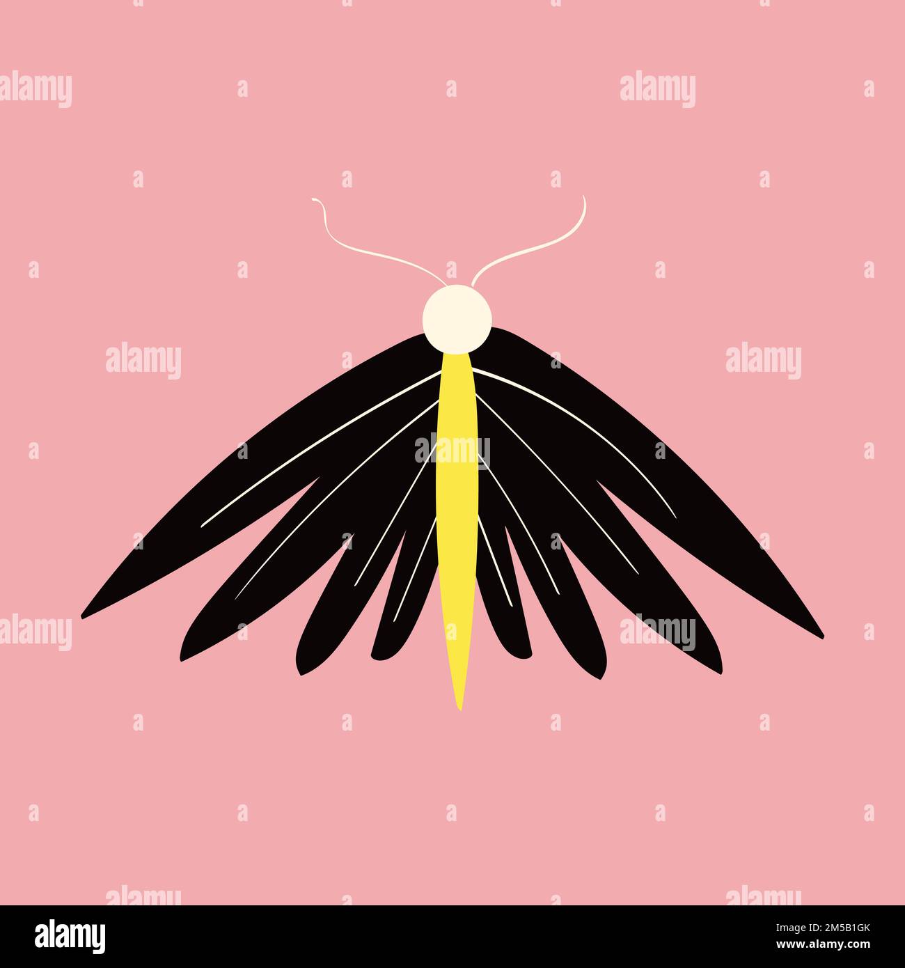 Freaky butterfly hi-res stock photography and images - Alamy
