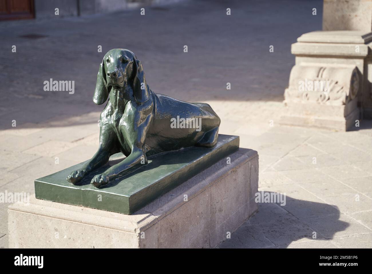 Canarian dogs statues on Plaza Santa Ana in Las Palmas, Gran Canaria ...