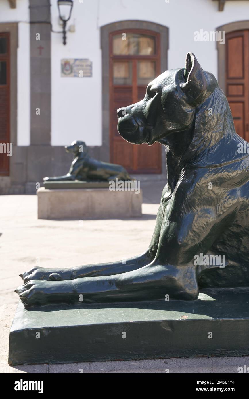 Canarian dogs statues on Plaza Santa Ana in Las Palmas, Gran Canaria ...