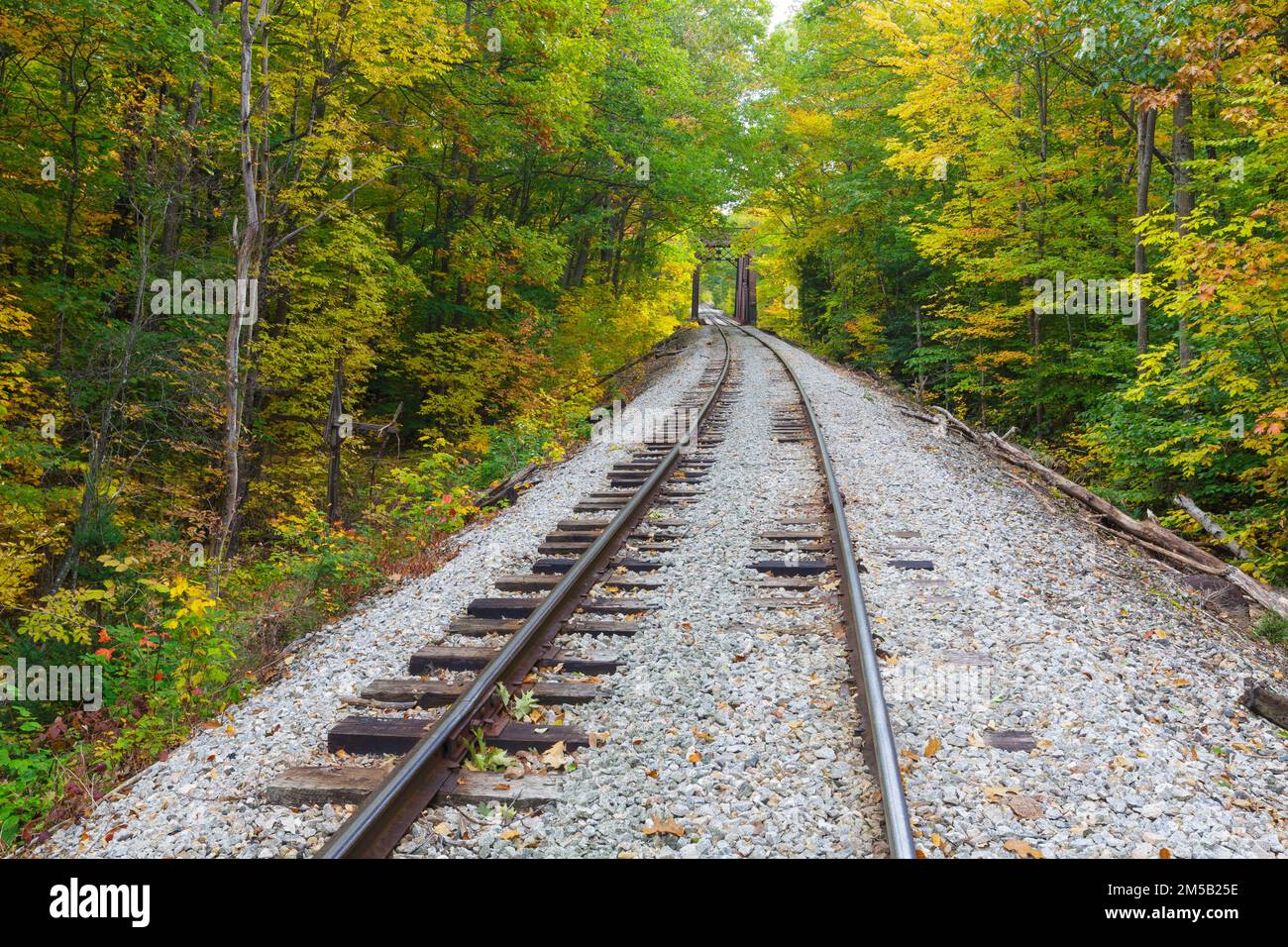 Railroad trestle along the old Maine Central Railroad in Hart's ...