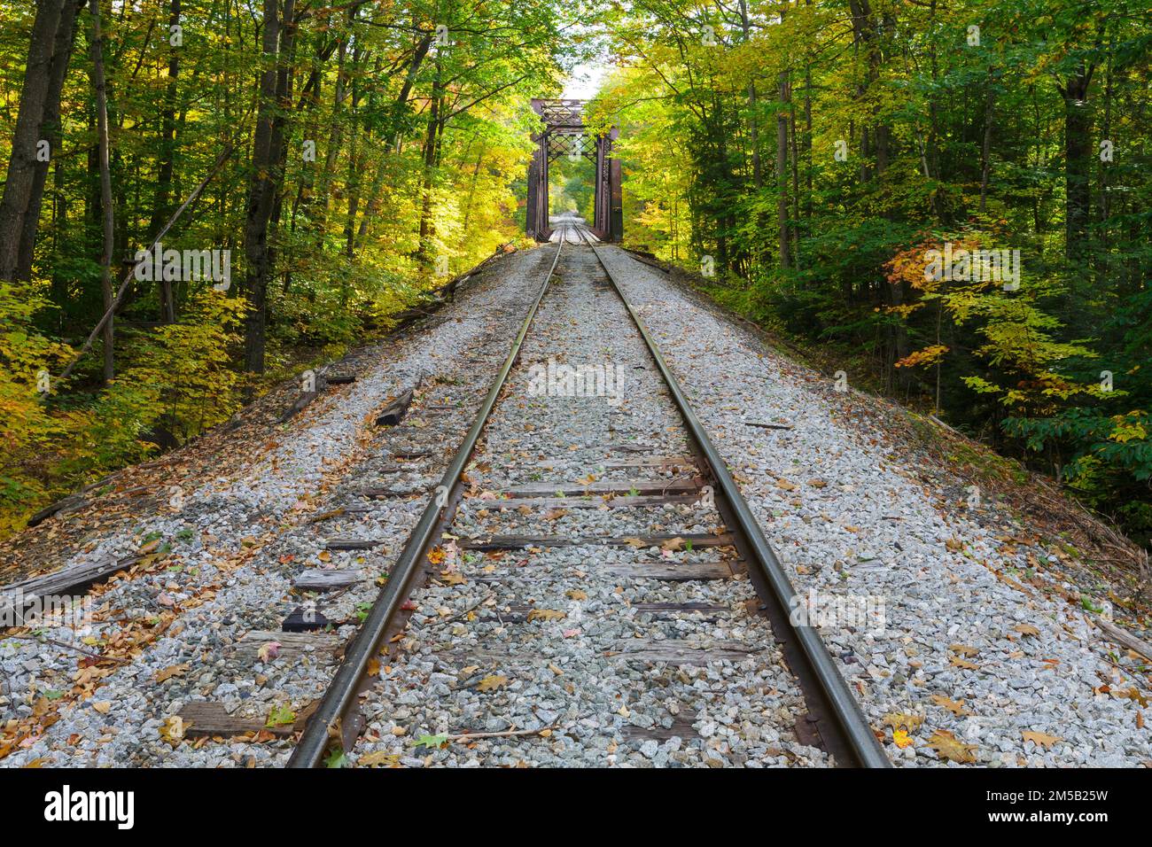 Railroad trestle along the old Maine Central Railroad in Hart's ...