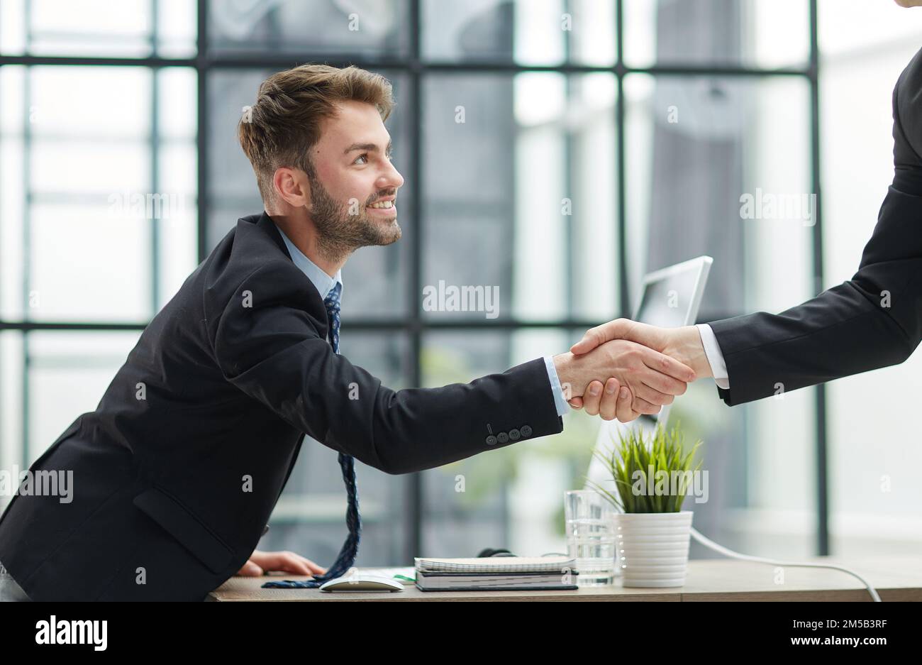 Portrait of cheerful young manager handshake with colleague Stock Photo ...