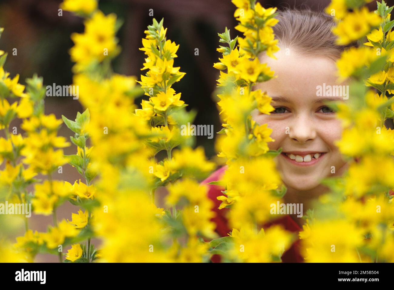 Young girl hiding behind flowers at park Stock Photo - Alamy