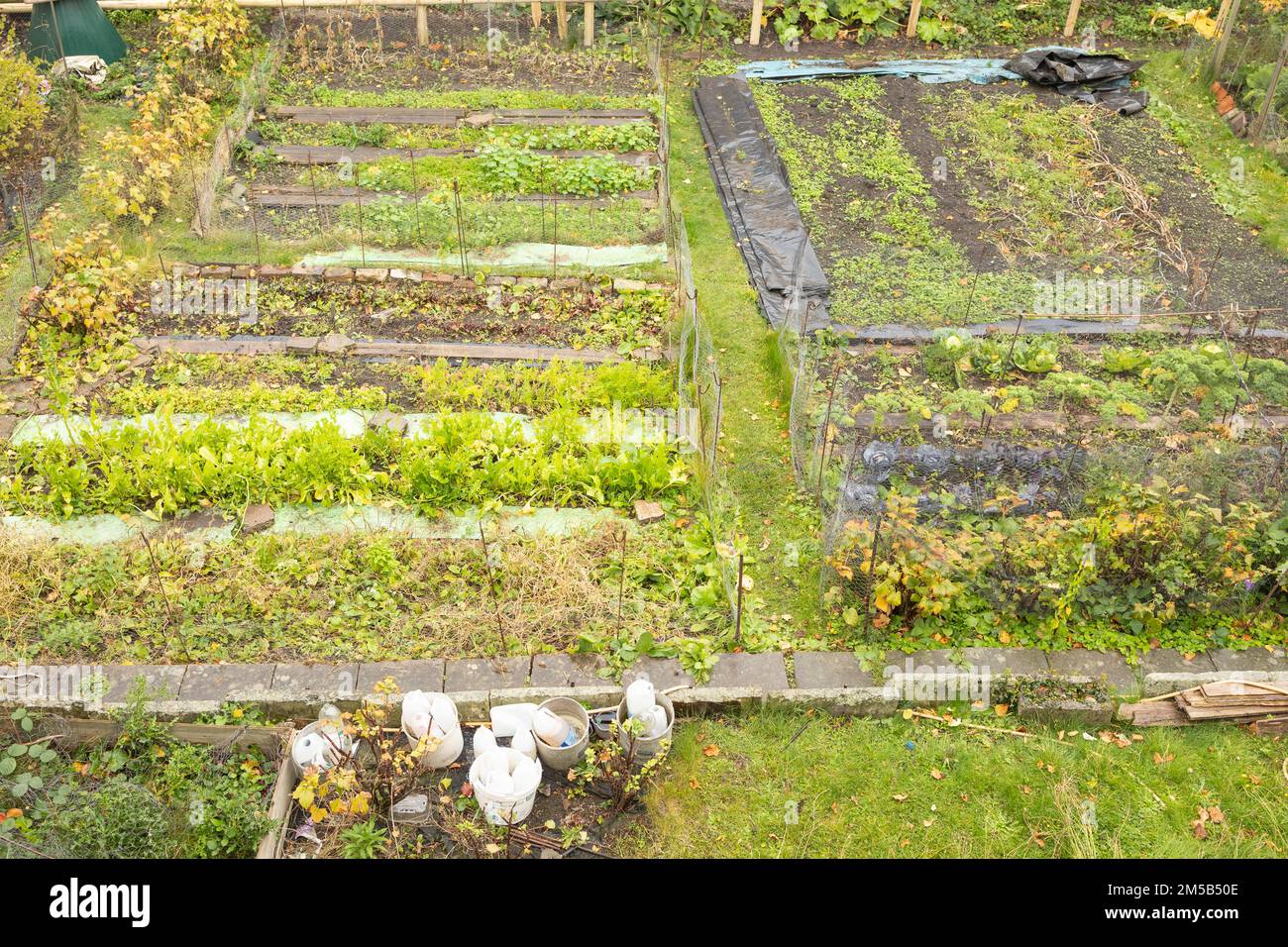 Bed from above isolated hi-res stock photography and images - Alamy