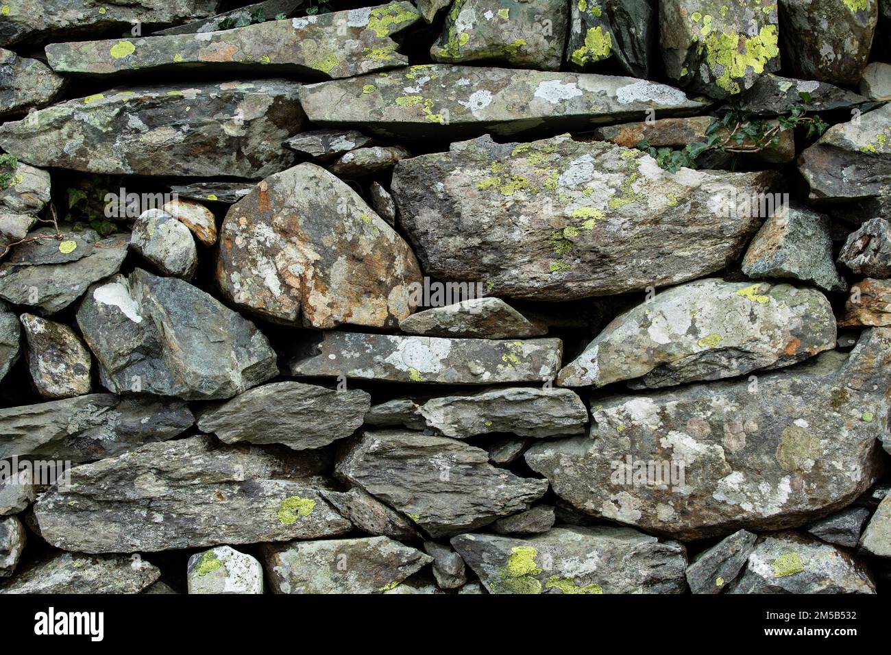 Ancient Cornish dry stone wall close up Stock Photo - Alamy