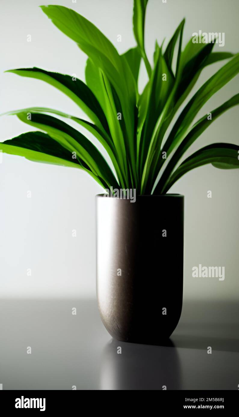 A fresh plant in a pot with bright green leaves placed on the table in ...