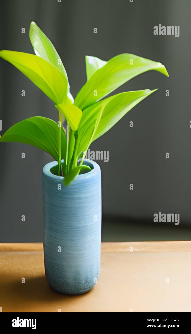 A fresh plant in a pot with bright green leaves placed on the table in ...