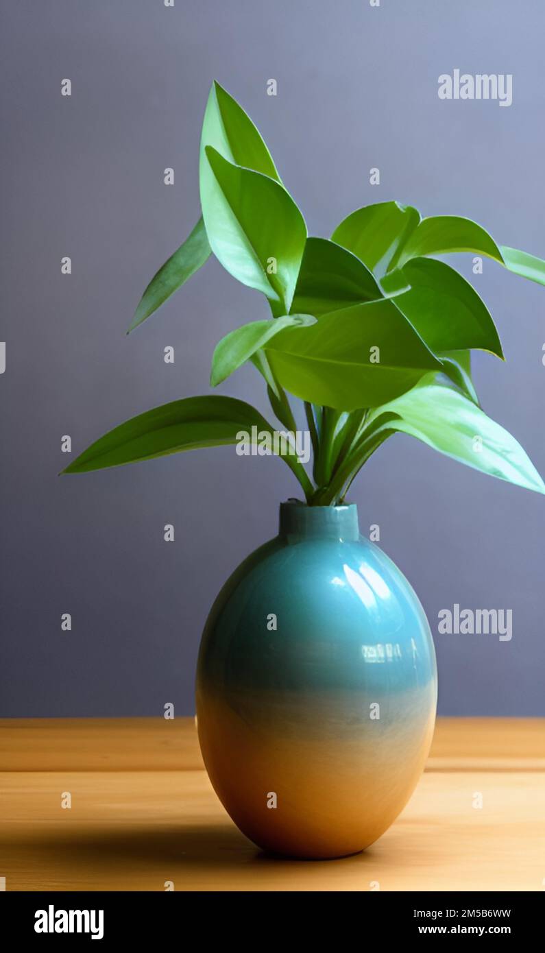 A fresh plant in a pot with bright green leaves placed on the table in ...