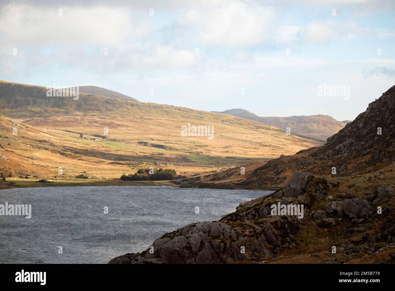 A Snowdonia landscape of green hills by a lake with wild plants in ...