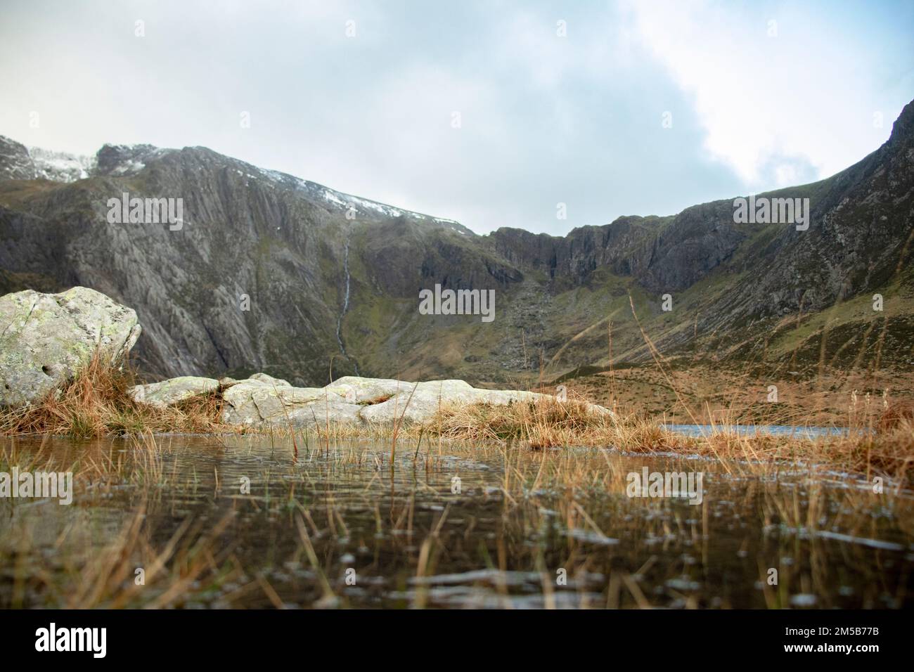 A Snowdonia landscape of green hills by a lake with wild plants in ...