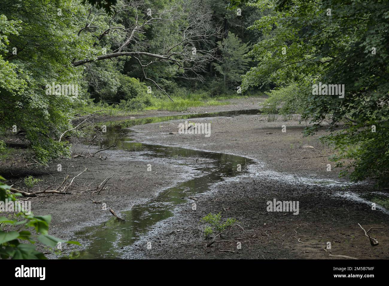 Pratt Pond, Mill Pond is in drought conditions in Mid eastern ...
