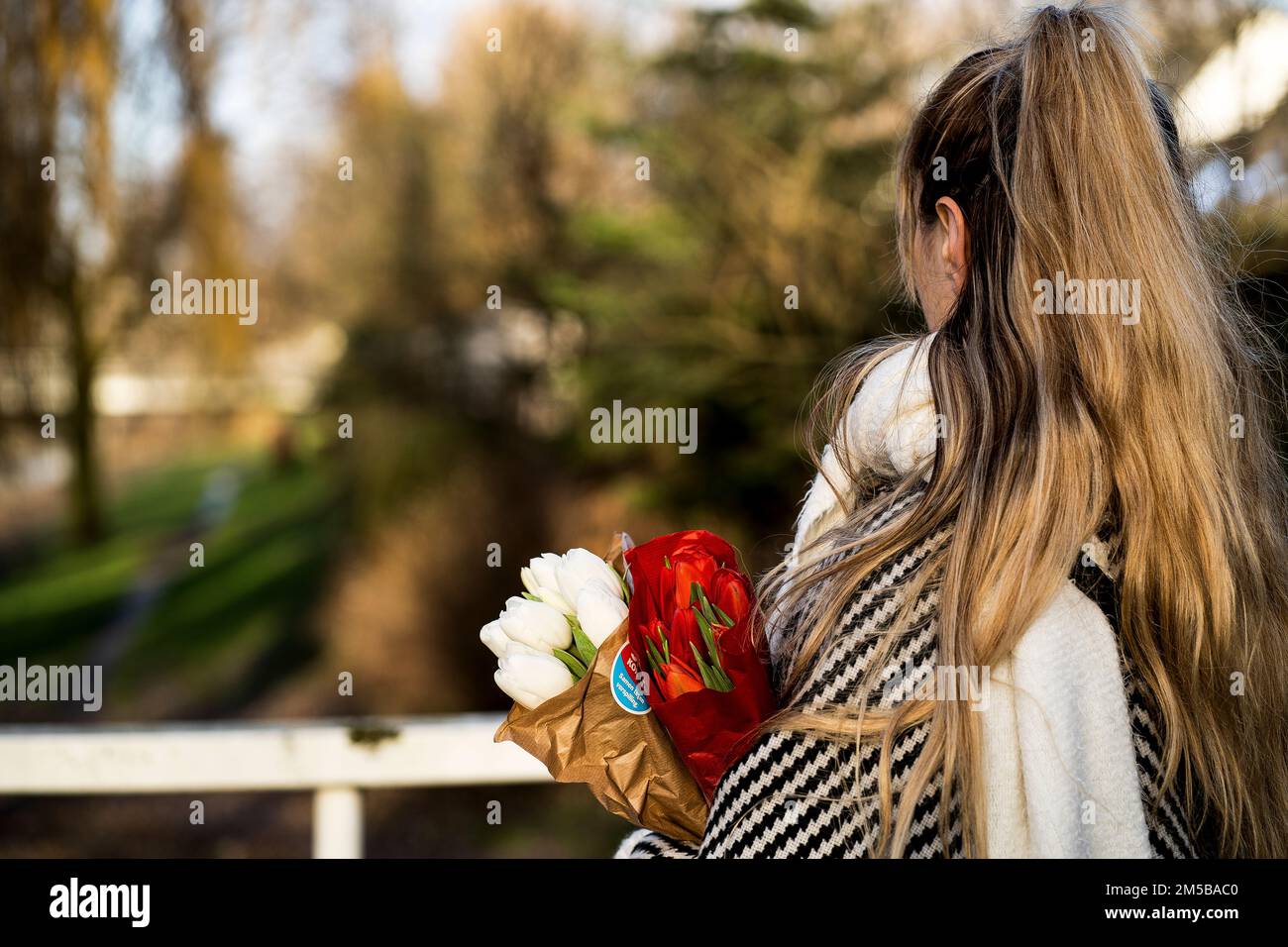 Lady bird blue house hi-res stock photography and images - Alamy