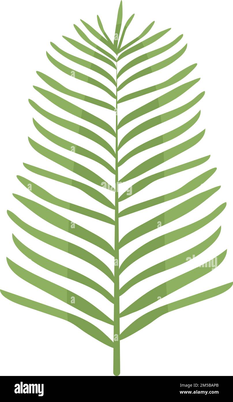 palm leaf icon Stock Vector Image & Art - Alamy