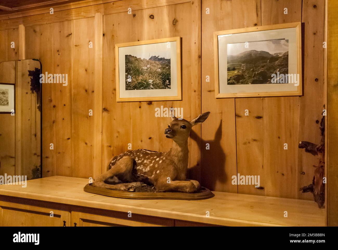 The image is of the interior of the German Alpine Club DAV Sektion ...