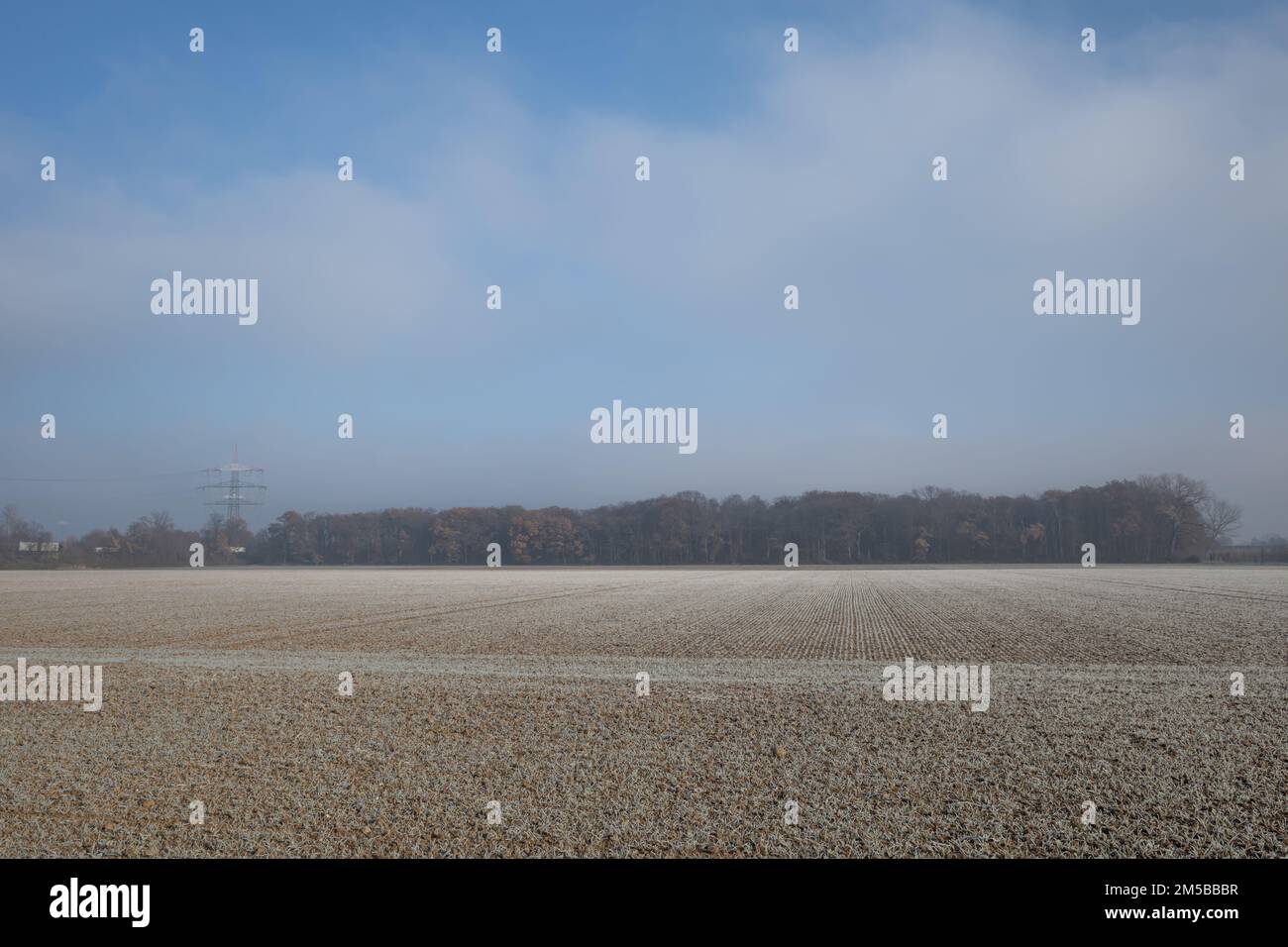 Outdoor sunny scenery of thick layer snow cover land and field ...