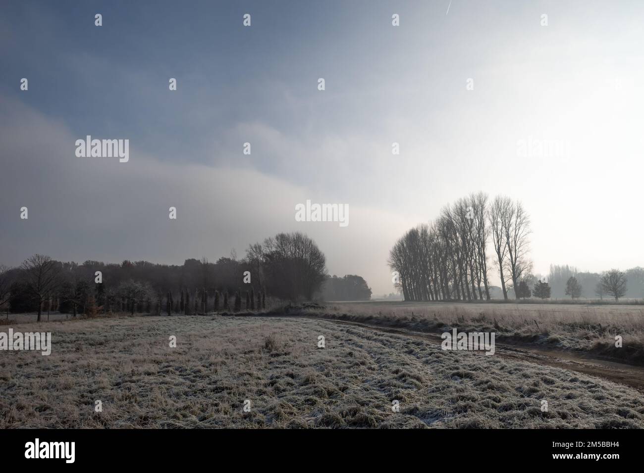 Outdoor sunny scenery of thick layer snow cover land and field ...