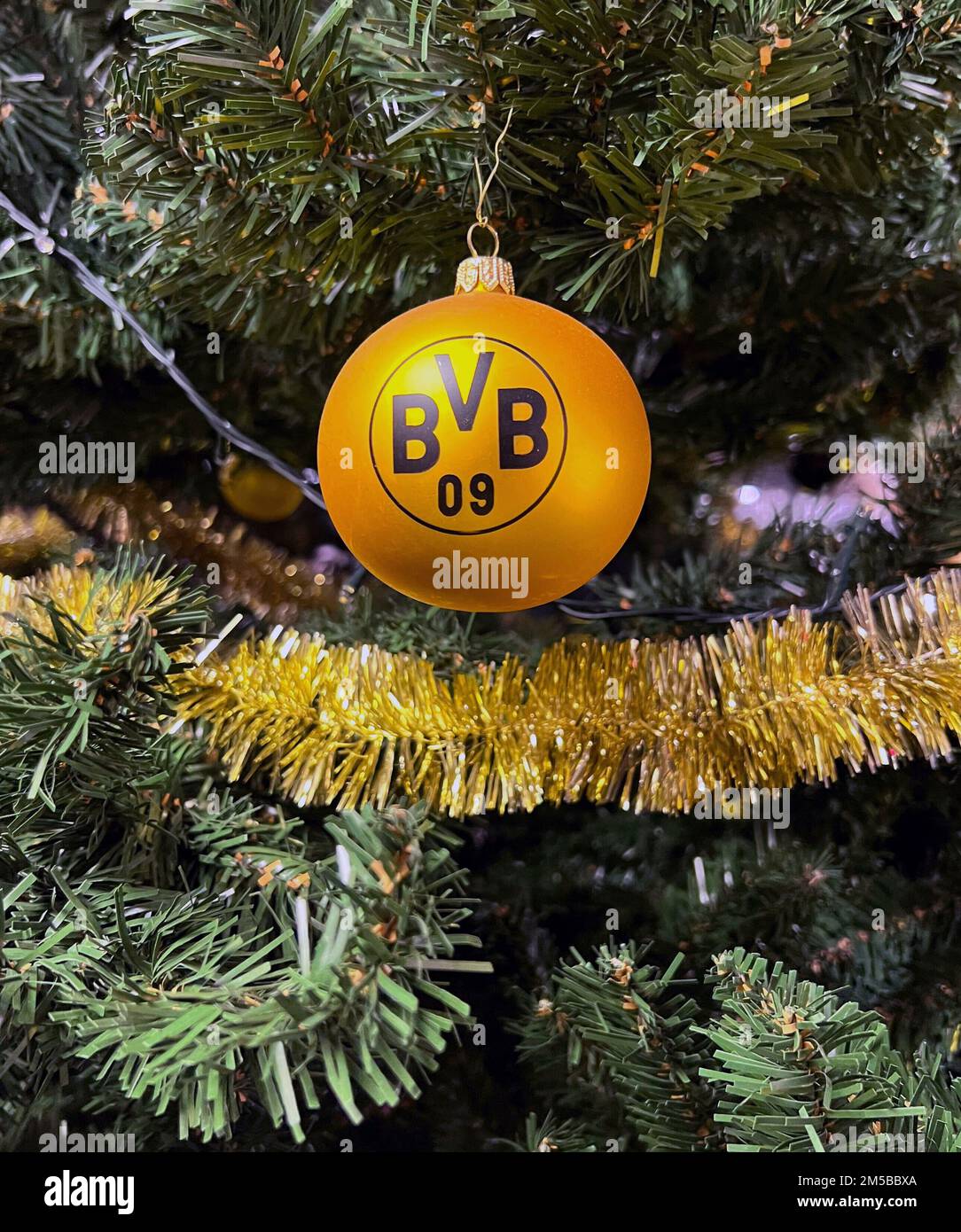 Osnabruck, Deutschland. 20th Dec, 2022. firo: 20.12.2022, football ...